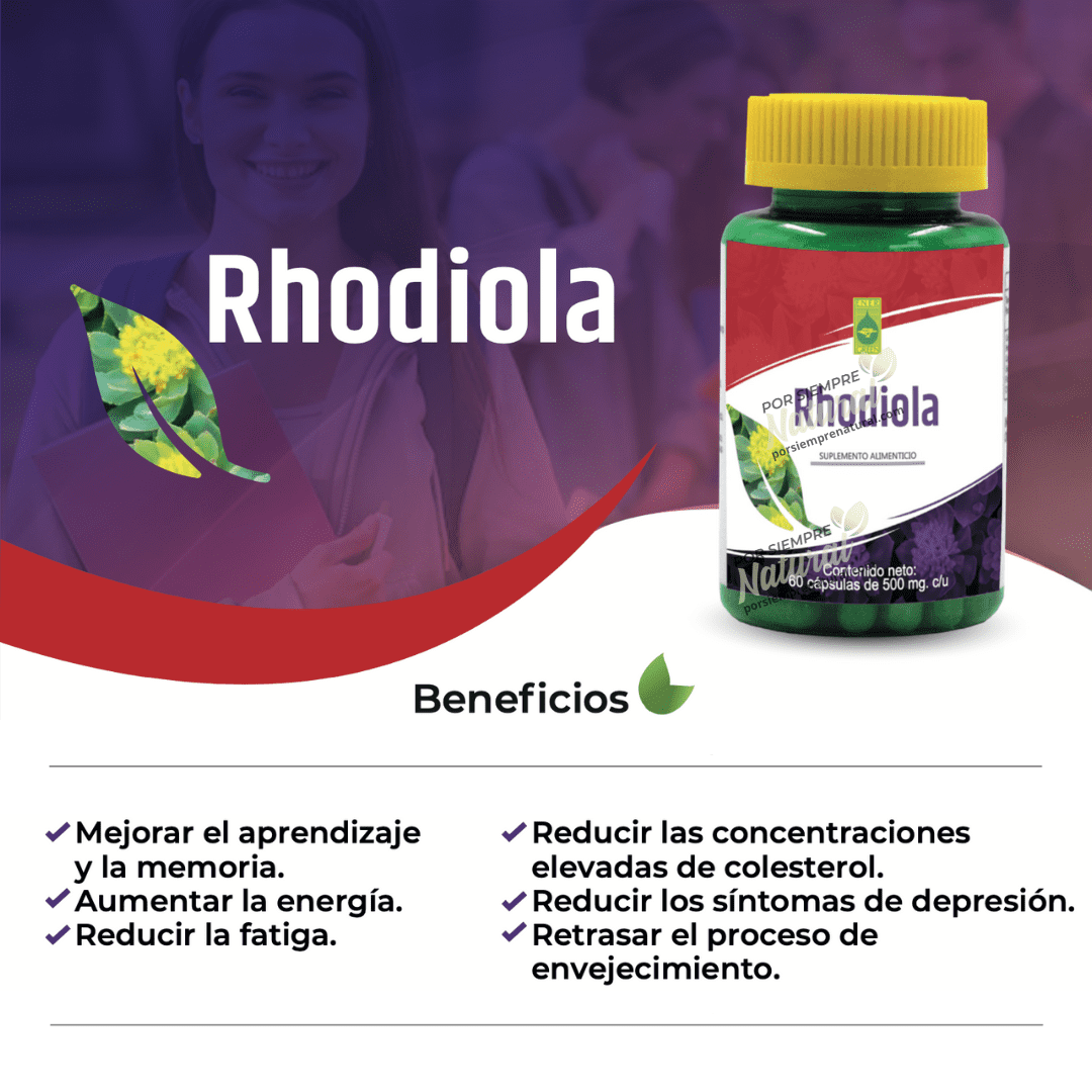 Rhodiola 60 Cápsulas – Por Siempre Natural